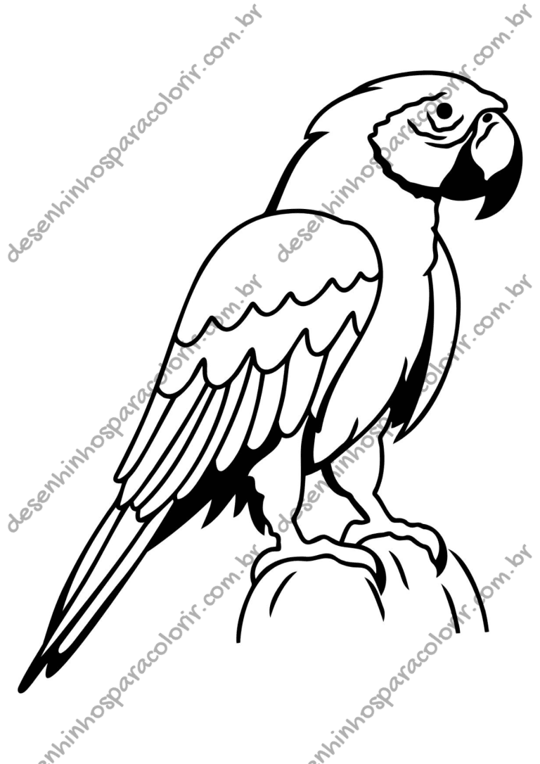 Desenho para Colorir Arara